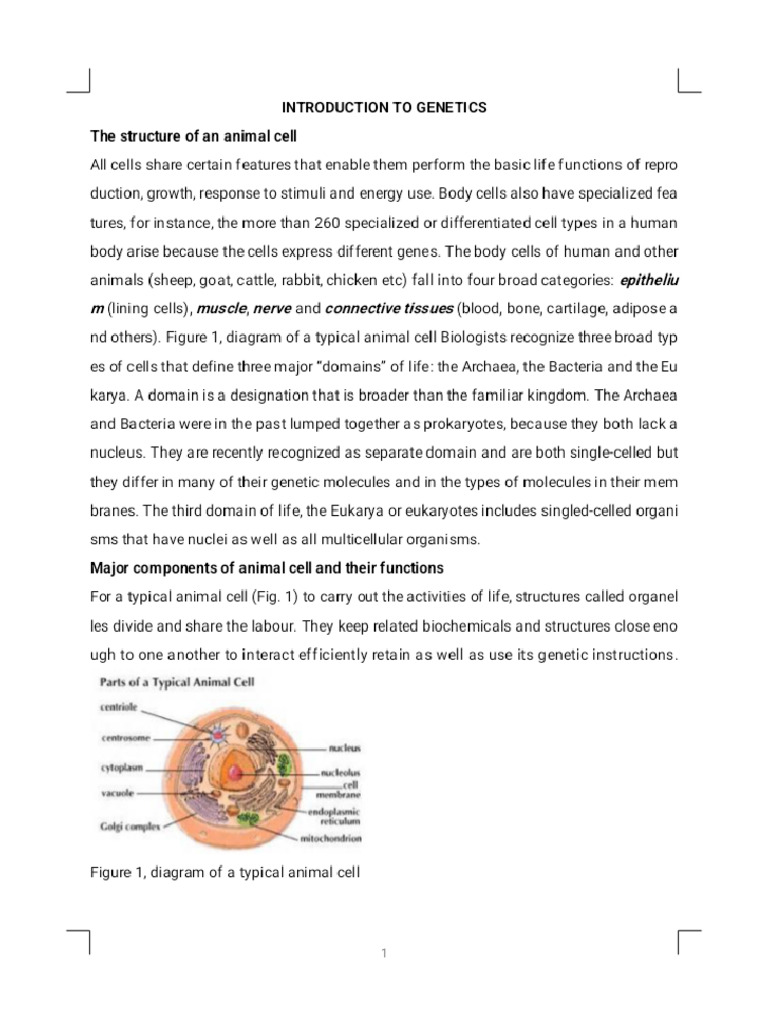INTRODUCTION TO GENETICS - Phoenix | PDF