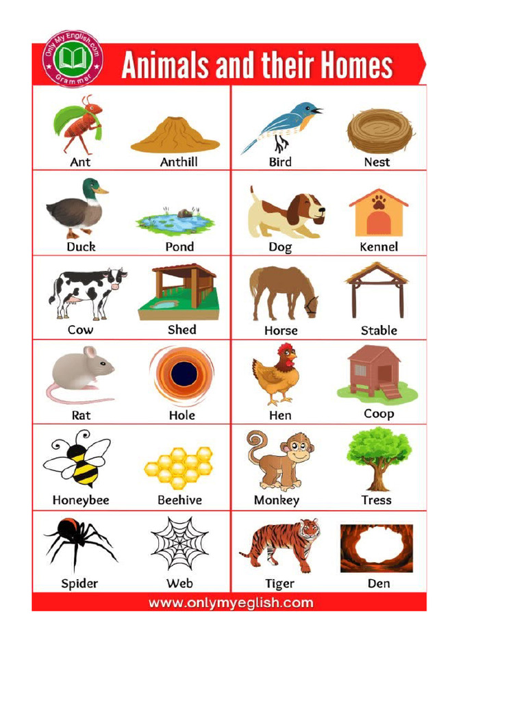 Dhriti Eng Lang and Lit Pics | PDF