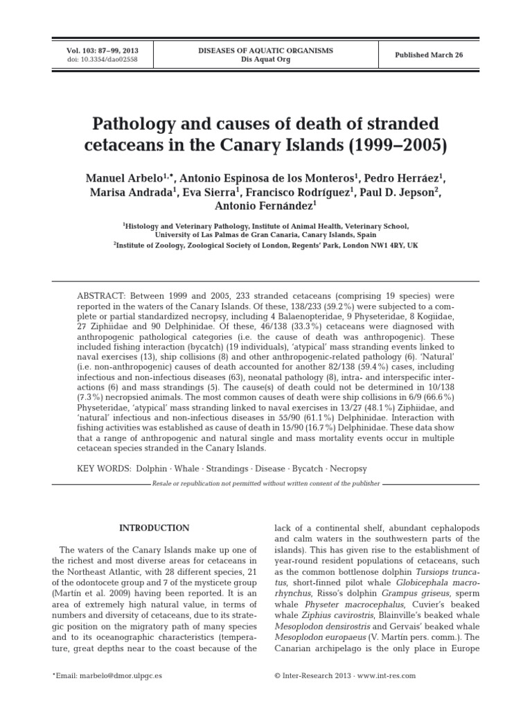Pathology of Stranded Cetaceans in Canaries | PDF | Dolphin | Cetacea