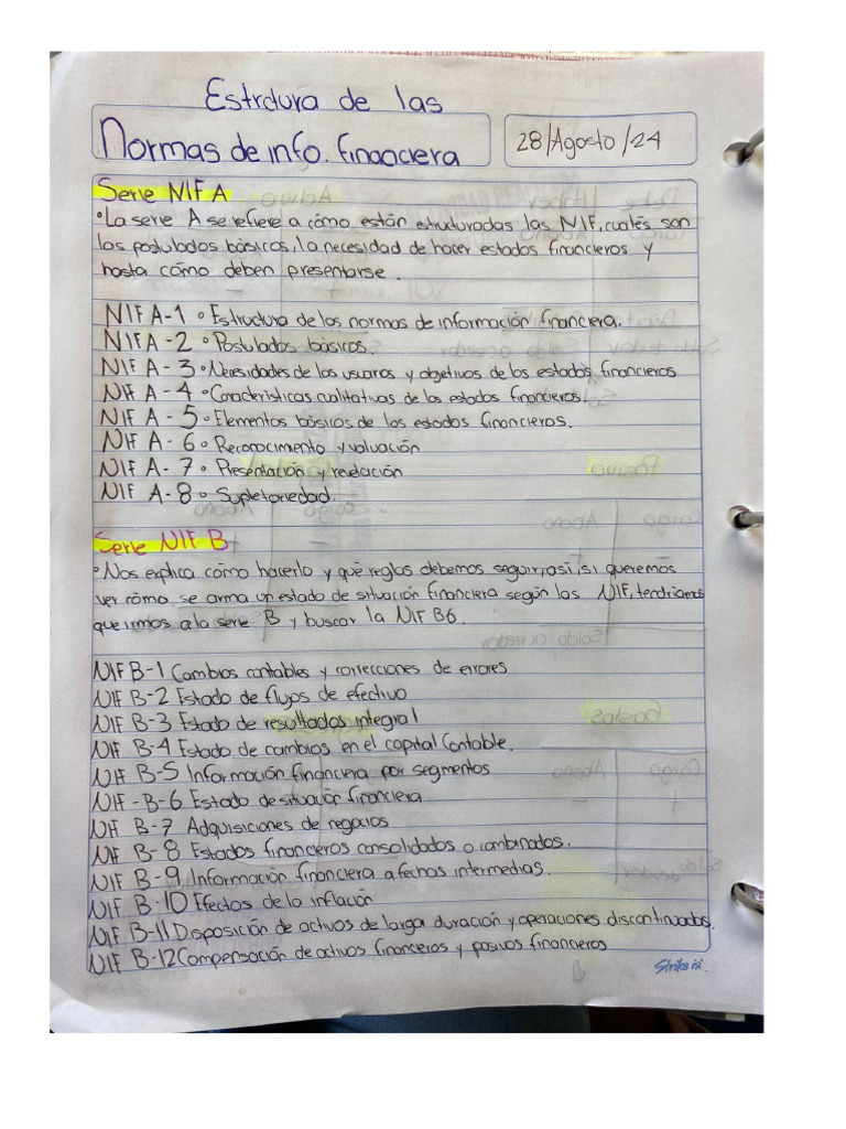 ESTRUCTURA DE LAS NIF | PDF