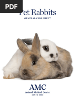Rabbit Size-O-Meter Weight Guide | PDF | Obesity | Dieting