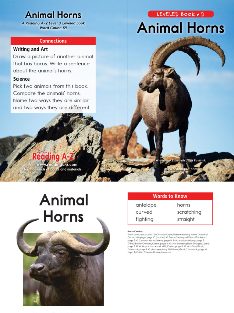 RAZ-D 018 Animal Horns | PDF