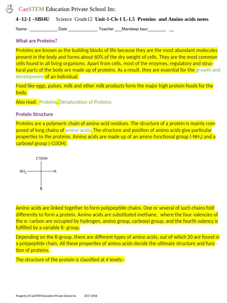 SBI4U Proteins Notes | PDF | Protein Structure | Proteins