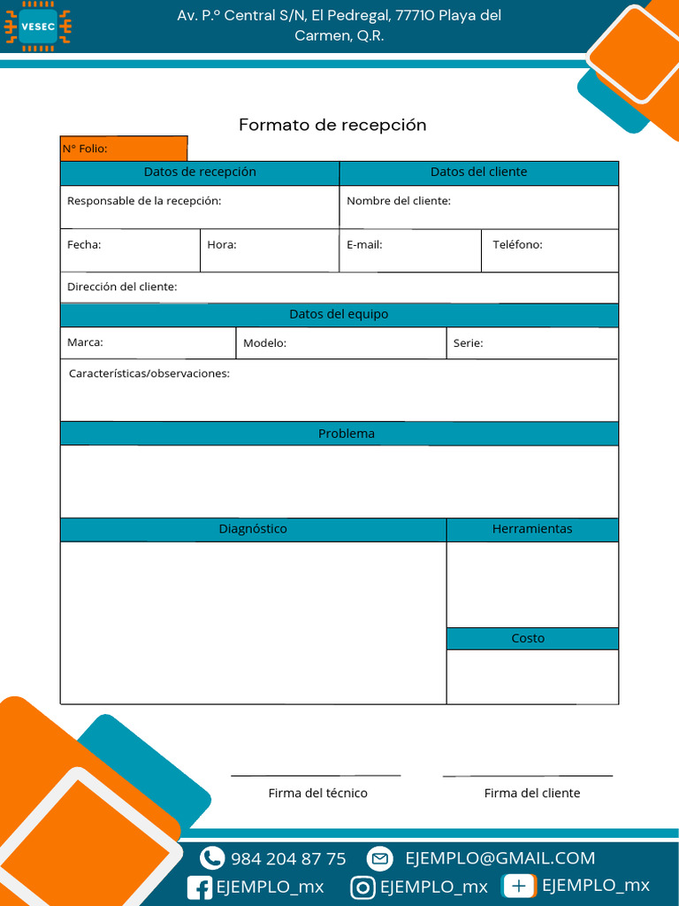 Formato de Recepción | PDF