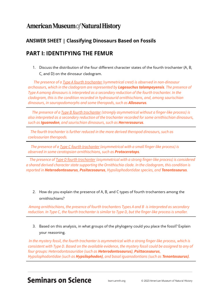 Answer Key Classifying Dinosaurs Based On Fossils | PDF | Dinosaurs ...