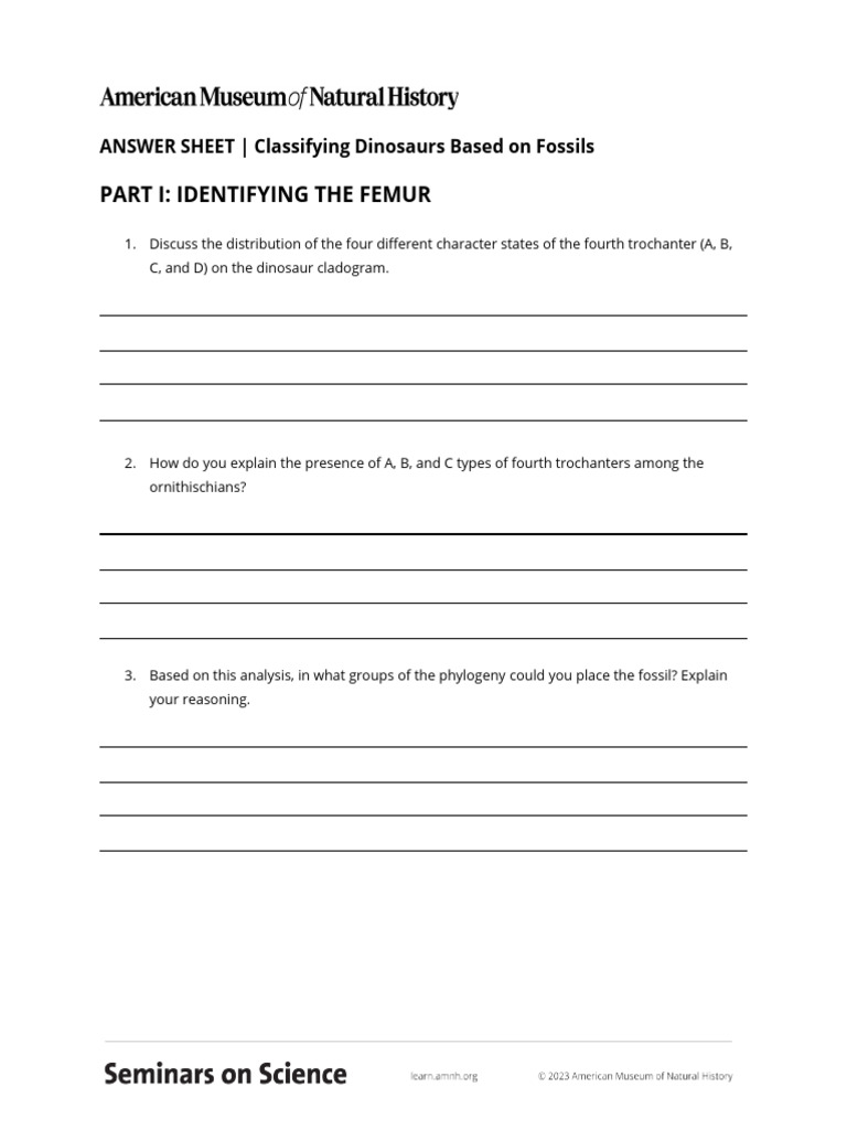 Answer Sheet Classifying Dinosaurs Based On Fossils | PDF | Dinosaurs ...