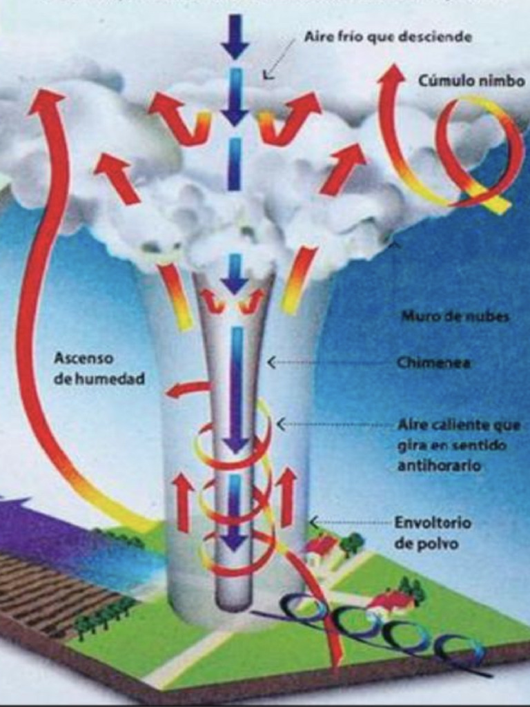 Foto Libro General | PDF