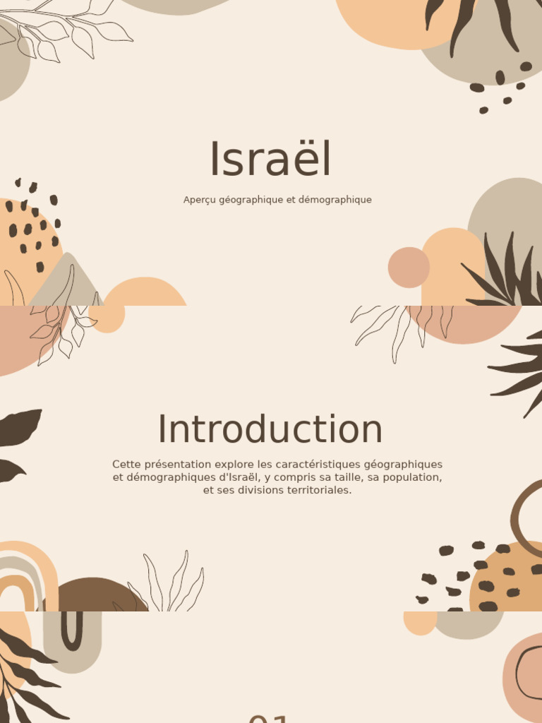 Géographie et démographie d'Israël | PDF