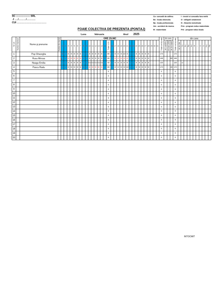 Exemplu PONTAJ | PDF
