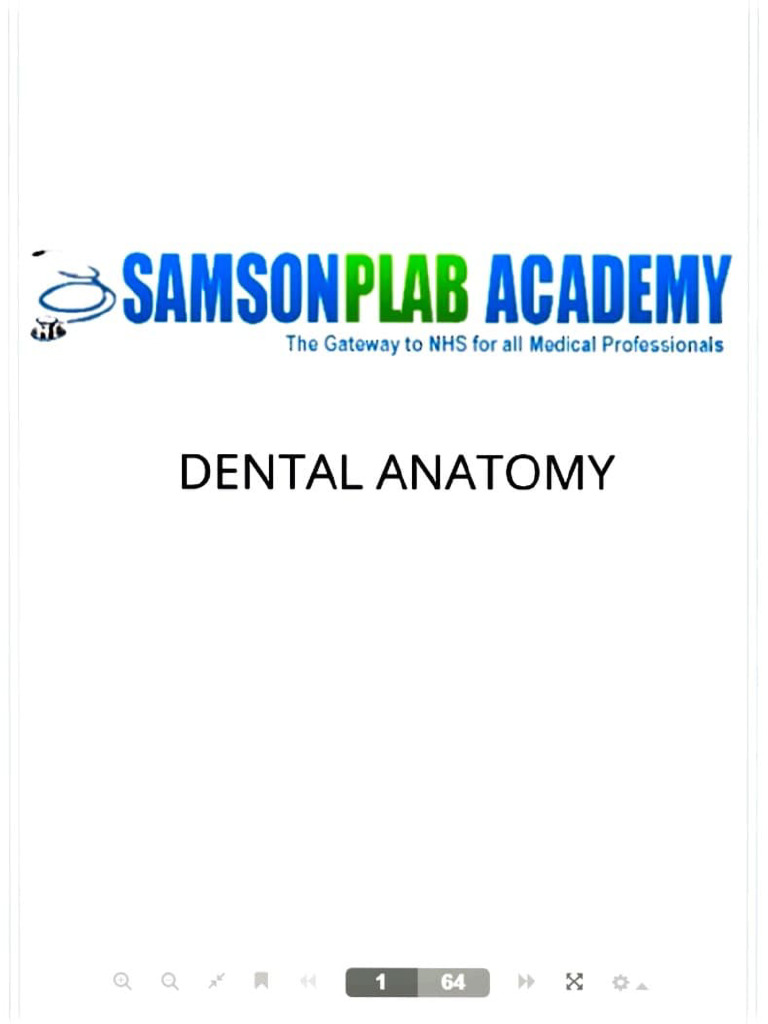 Samson Anatomy Notes | PDF