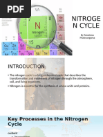 The Creation of A Dictatorship, 1933-34 - Hitler Into Power, 1929-1934 ...