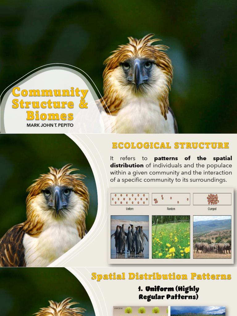 Community Structure and Biome Types | PDF | Forests | Grassland