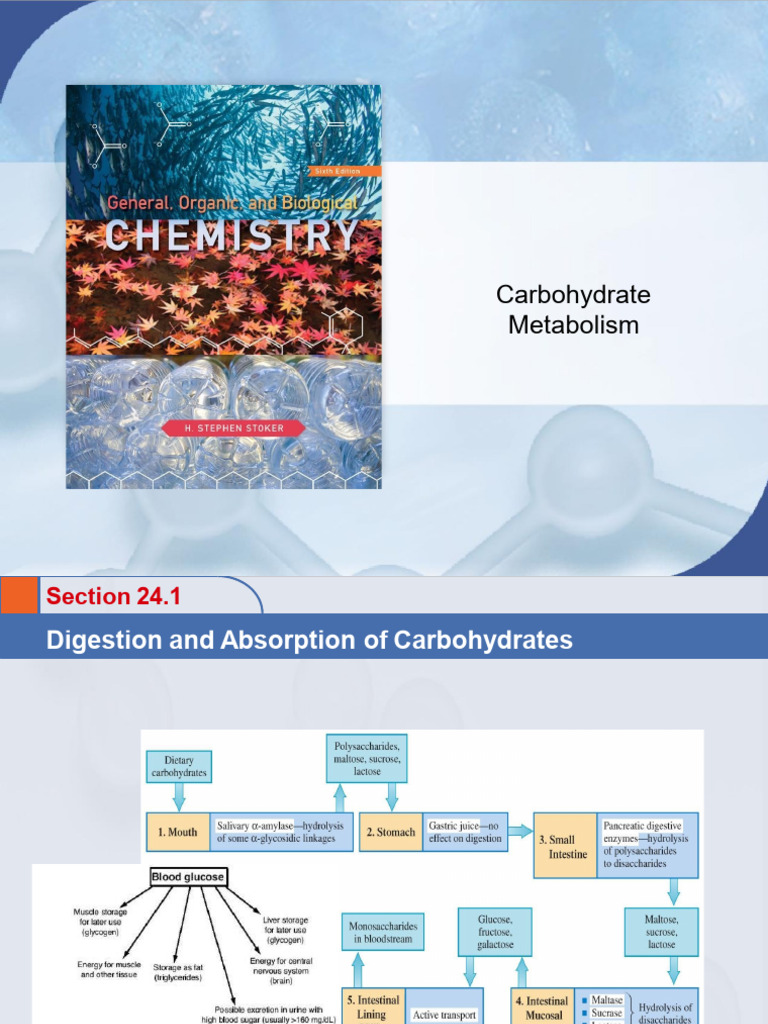 Carbohydrate Metabolism | PDF | Electron Transport Chain | Diet & Nutrition