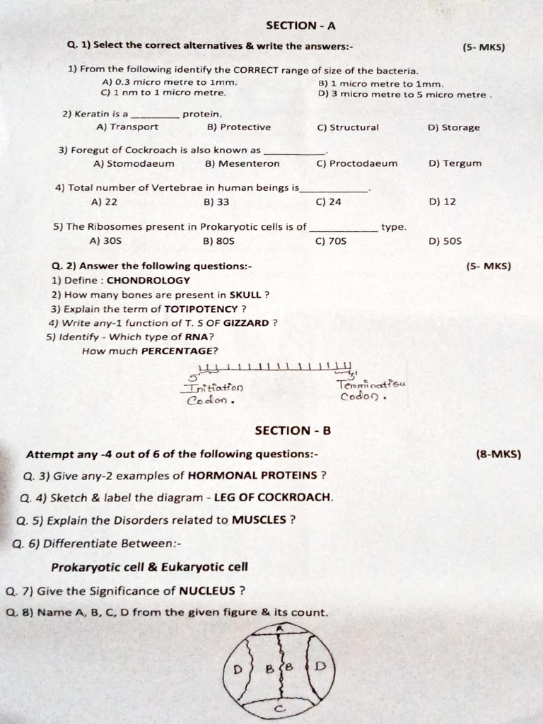 Bio 2 Sem-2 Question Paper | PDF | Cell (Biology) | Molecular Biology