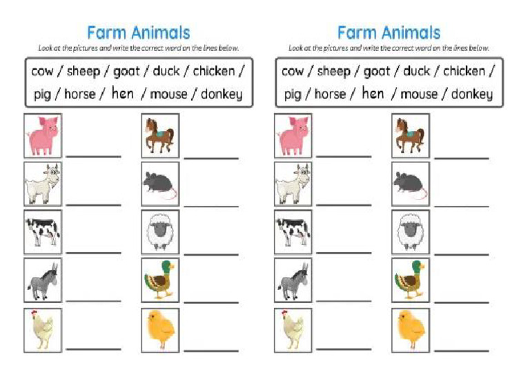 Farm Animal Worksheet | PDF