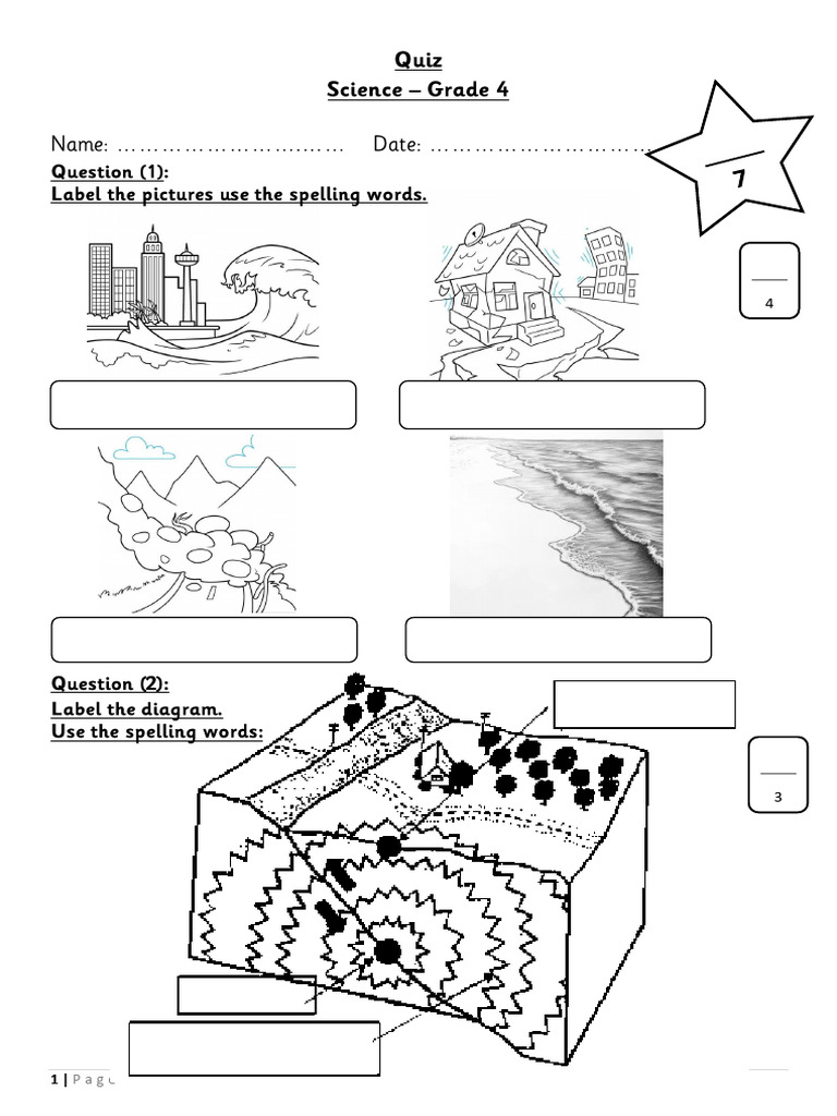 Grade 4 Science Quiz | PDF