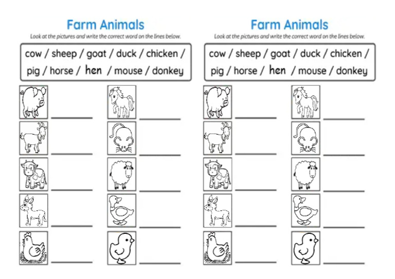 Farm Animal Worksheet To Colour | PDF