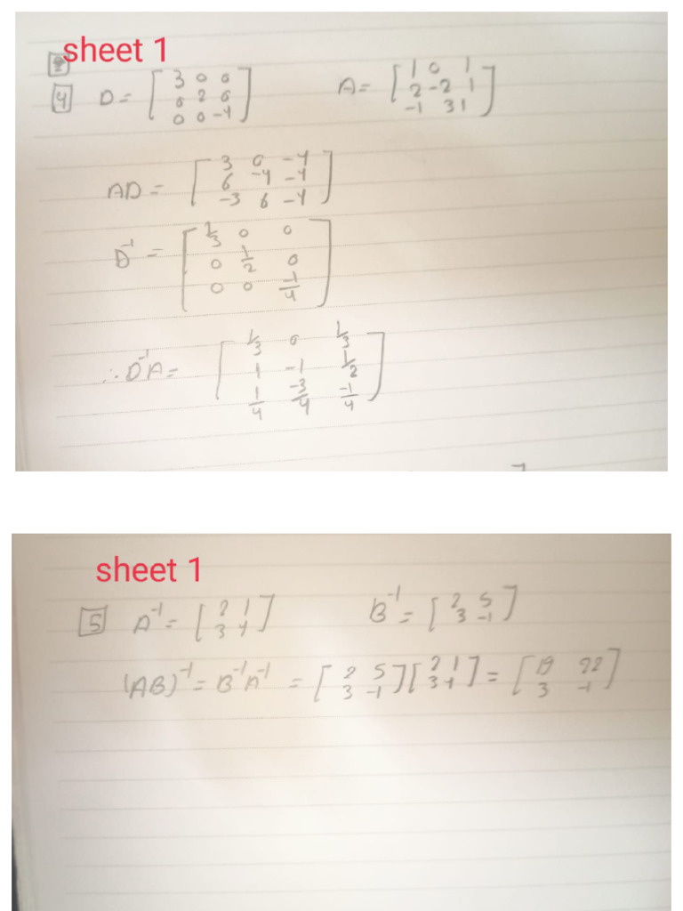 algebra assignment | PDF