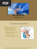 Canine Endotracheal Intubation Guide | PDF | Medical Specialties ...