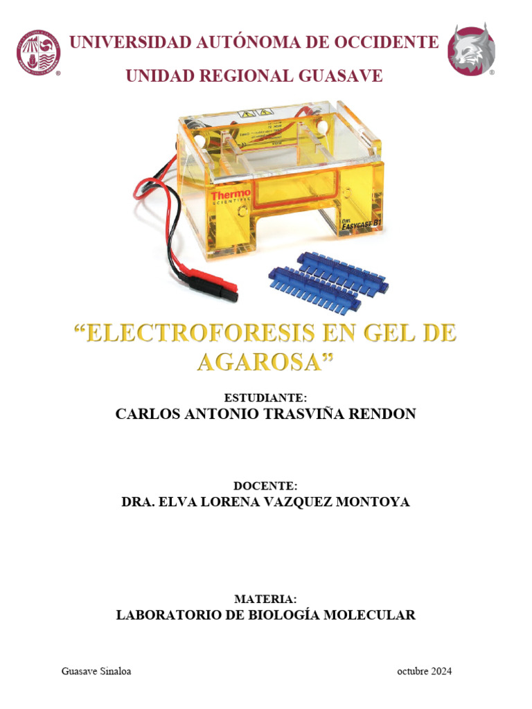 Electroforesis en Gel de Agarosa | PDF | Adn | Ácidos nucleicos