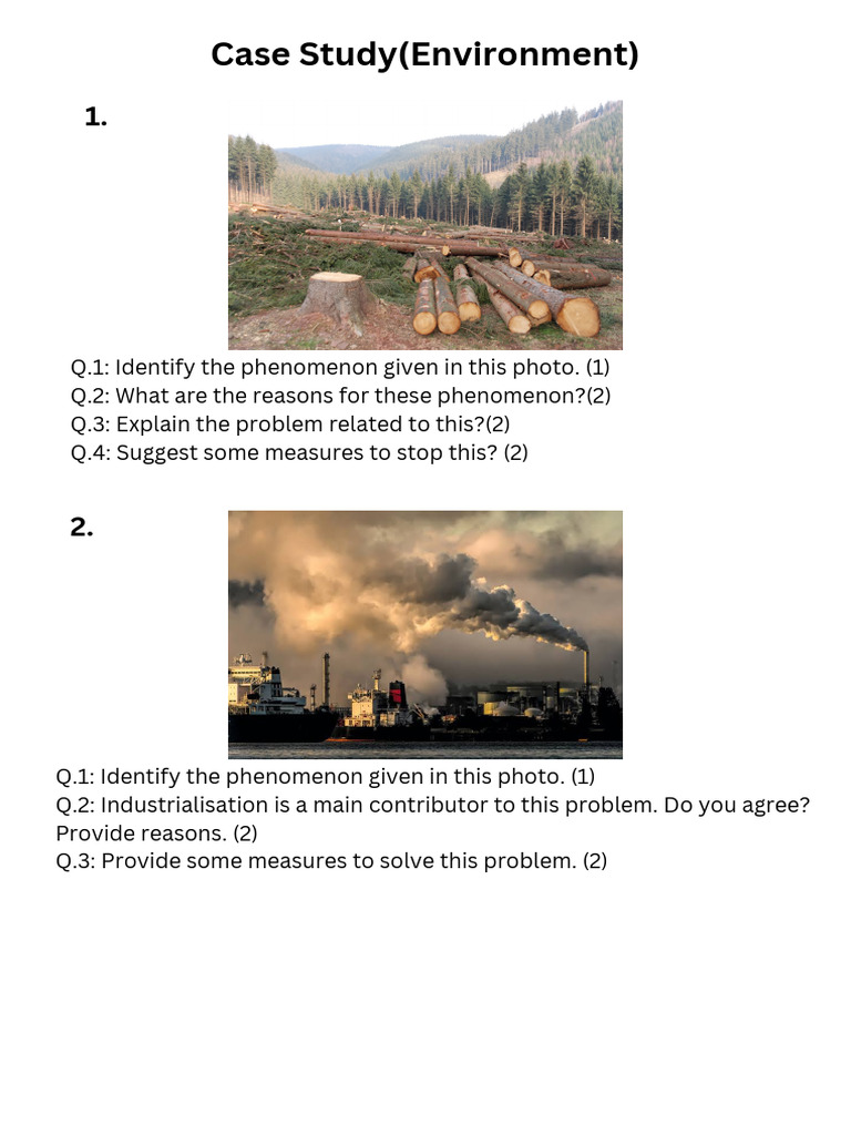 Case Study (Environment) - 20250211 - 173557 - 0000 | PDF