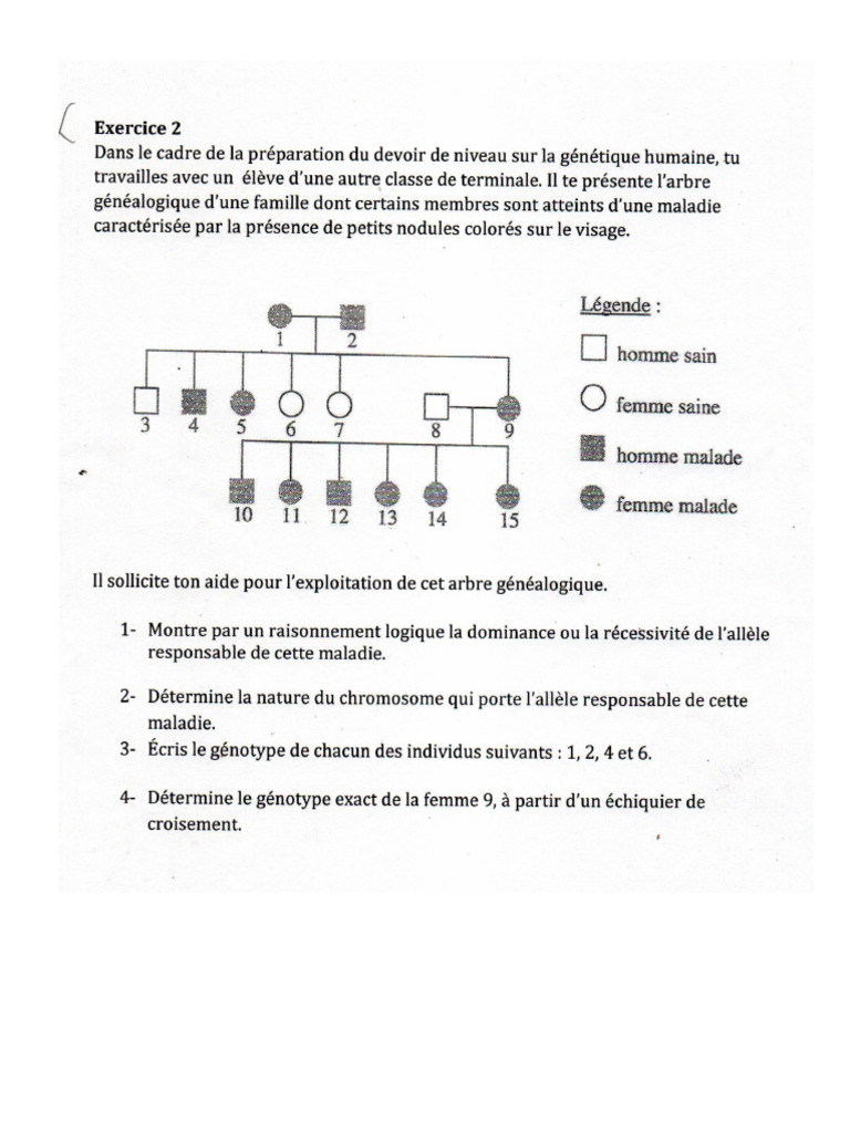EXERCICE GENETIQUE | PDF