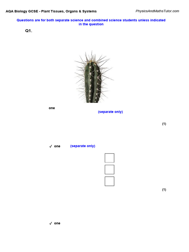 Cactus Adaptations and Plant Biology GCSE | PDF | Leaf | Stoma