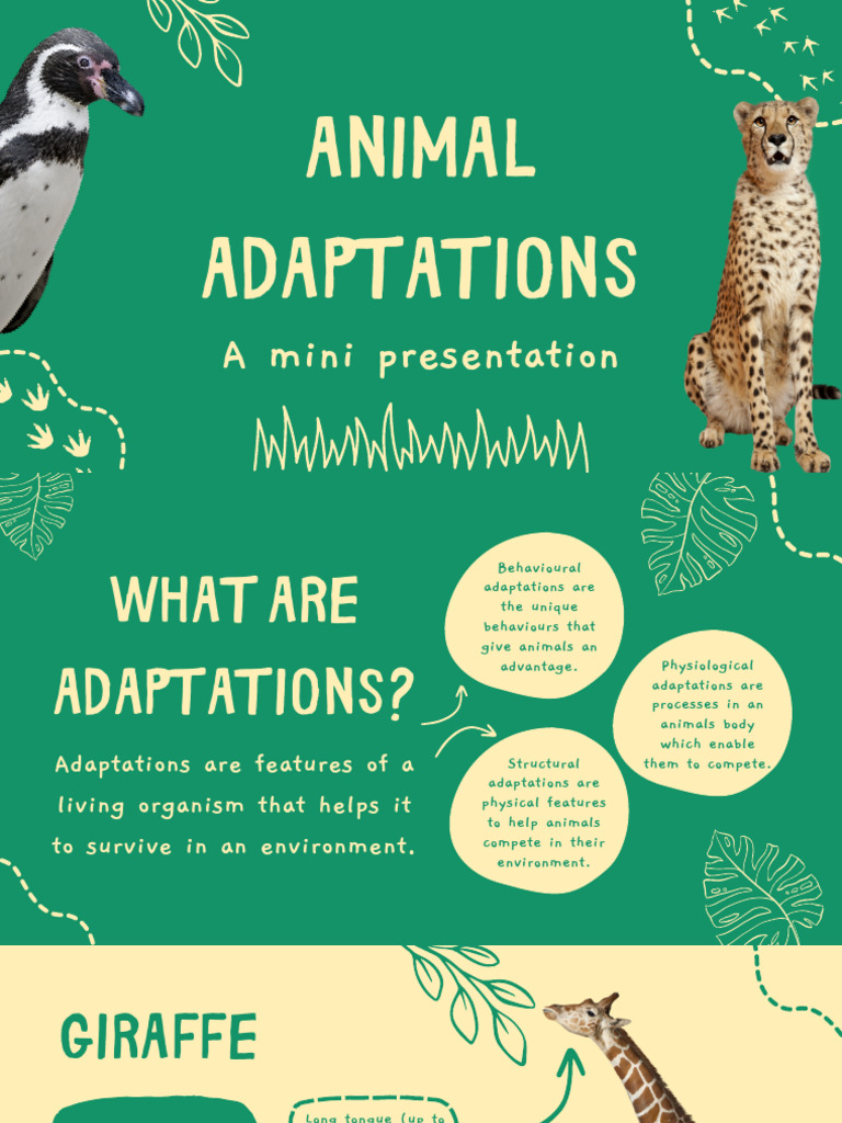 Animal Adaptations Presentation in A Green Fun Style | PDF | Elephant | Giraffe