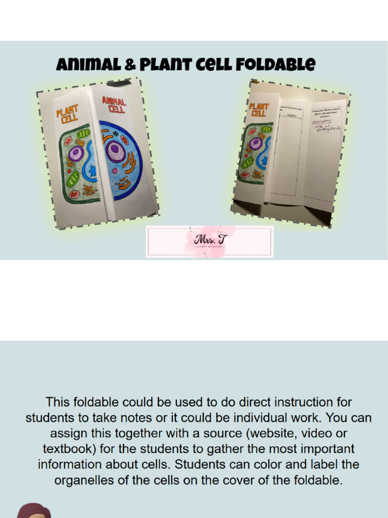 AnimalCellvsPlantCellNotesandDiagram 1 | PDF