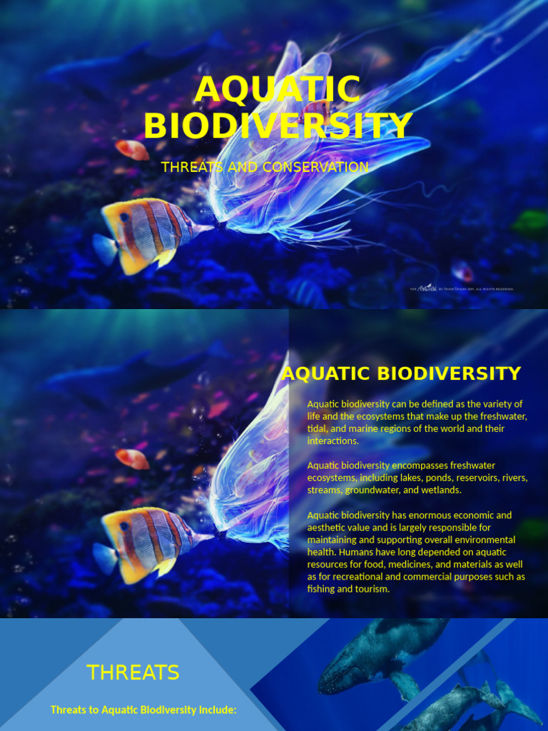 AQUATIC BIODIVERSITY | PDF | Aquatic Ecosystem | Habitat Destruction