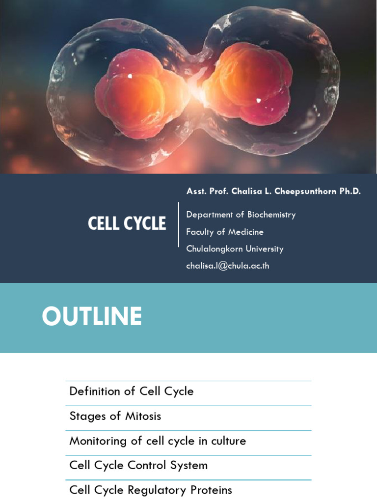 109 65 - Cell Cycle | PDF | Mitosis | Cellular Processes