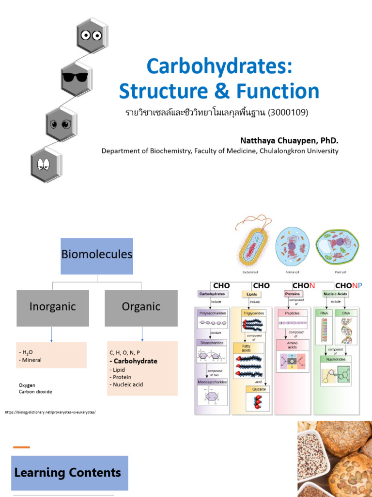 109 65 - Carbohydrate Structure and Function | PDF | Carbohydrates ...