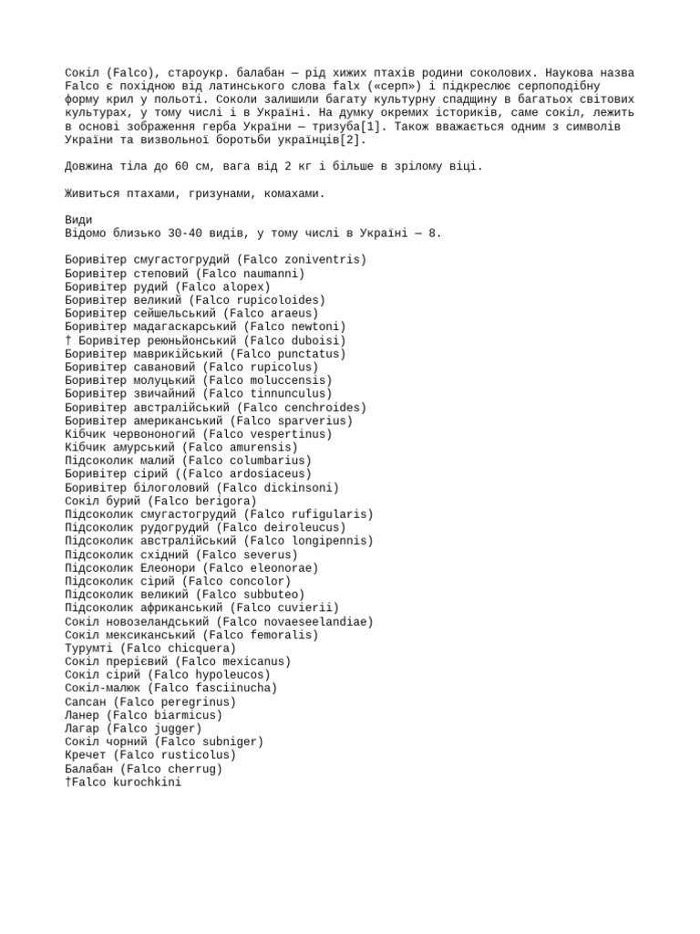 First 123123123 | PDF