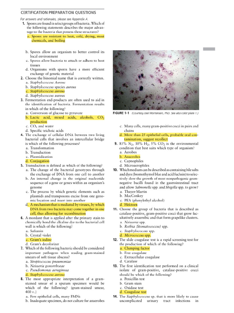 Bacte Elsevier's | PDF