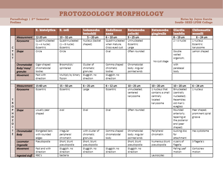Protozoology-Morphology-Summary Table | PDF | Cell Biology | Biology