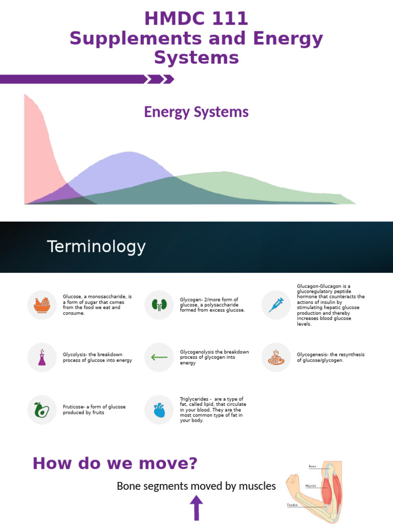 HMDC+111+ +Energy+Systems+1 | PDF | Glycogen | Glucose