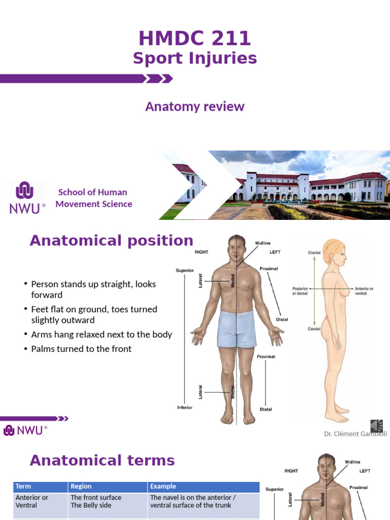 Anatomy Basics for Sports Science | PDF | Anatomical Terms Of Location ...