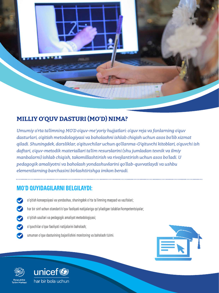 Recommendation To National Curriculum Framework Uzb | PDF