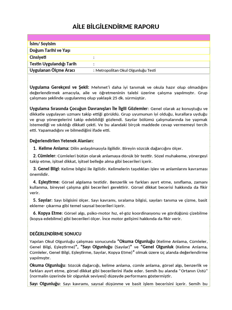 Metropolitan-Rapor-Ornegi- | PDF