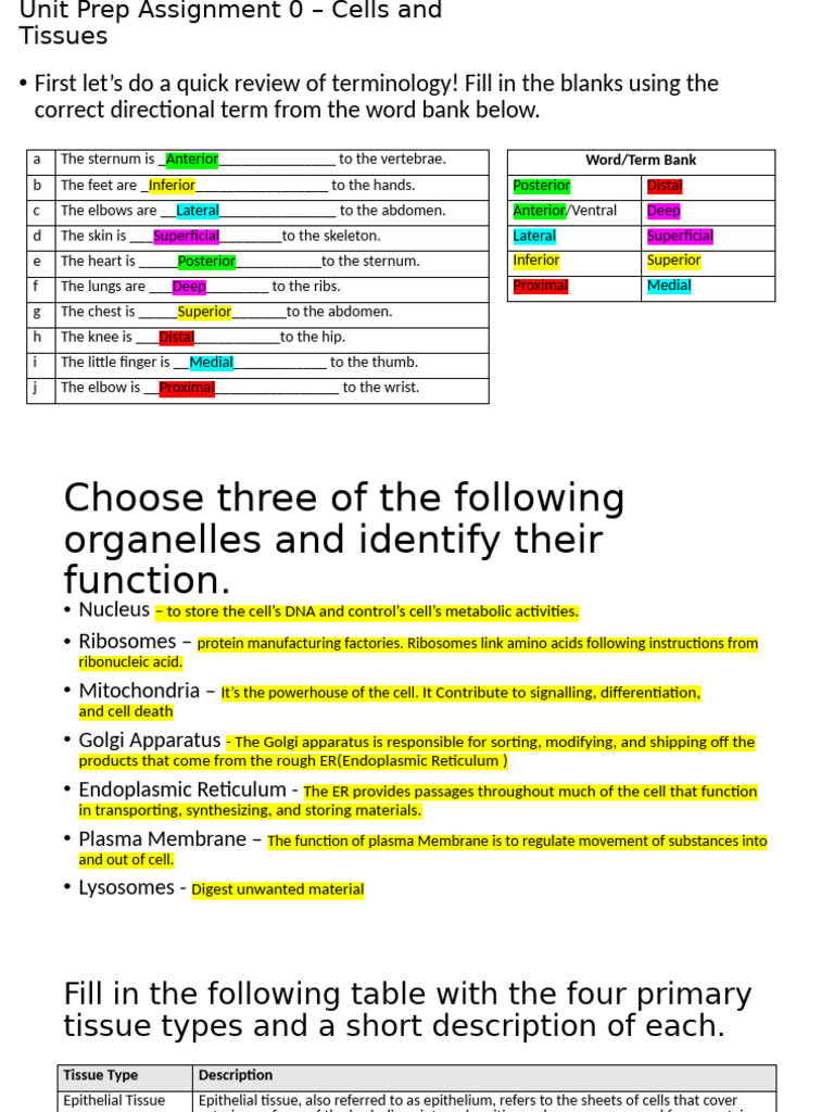 Completed - Unit Prep Assignment - Cells and Tissues | PDF ...