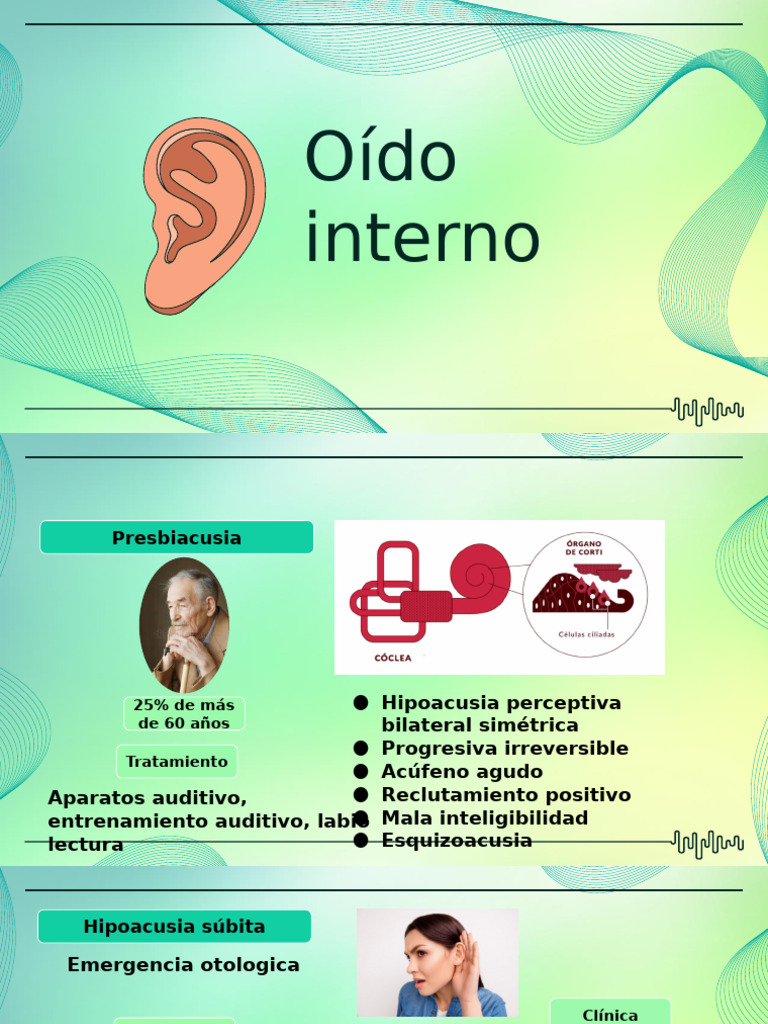 Guía de Hipoacusia y Tratamientos | PDF | Enfermedades y trastornos ...