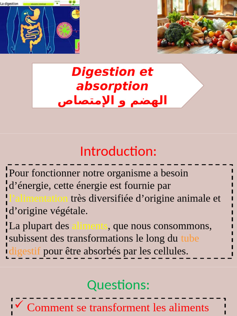 La Digestion Des Aliments Et Labsorption Intestinale Cours PDF 5 | PDF ...