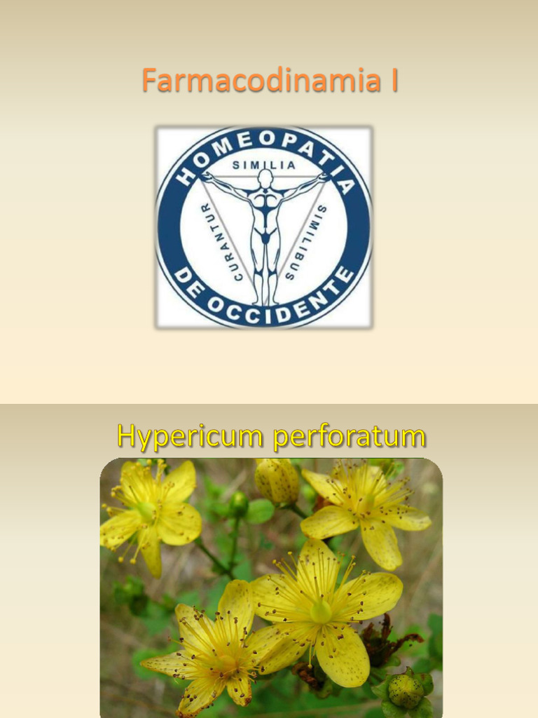 Propiedades y usos de Hypericum perforatum | PDF | Sistema nervioso