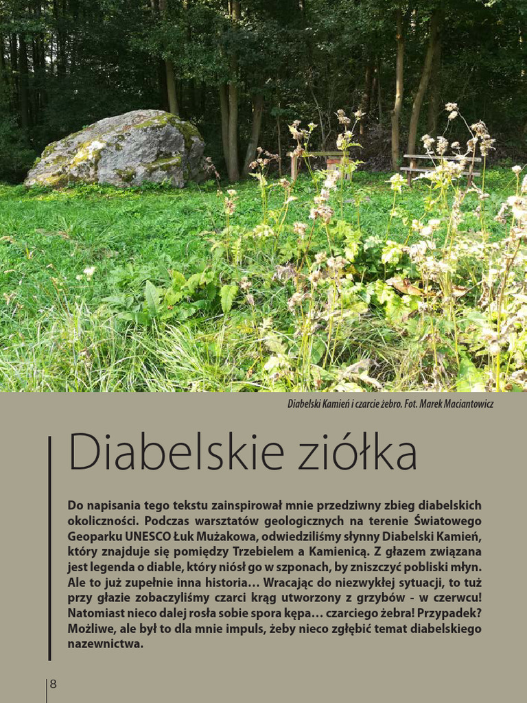 BOCIEKnr4 2020 Artykul 2 | PDF