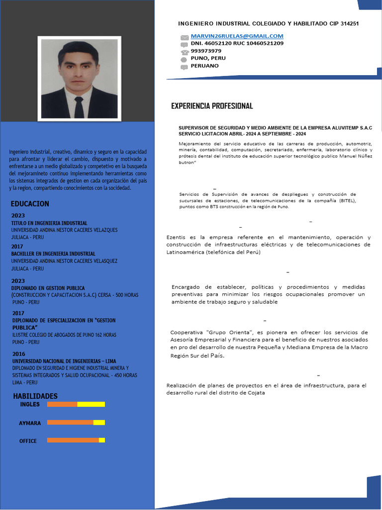 CV Marvin MNB | PDF | Perú | Business
