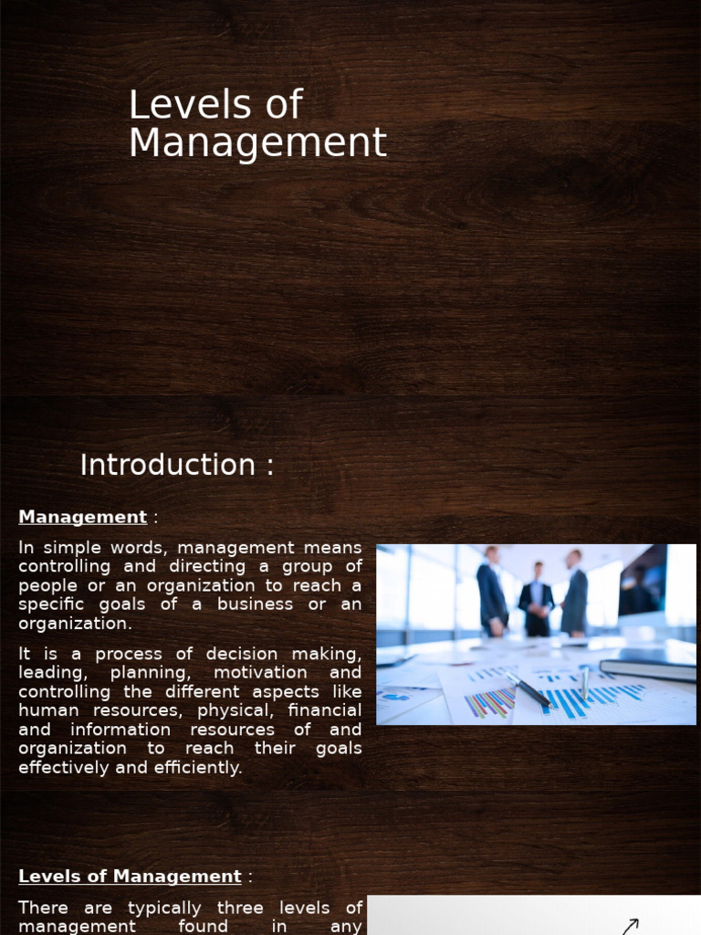 LEvels of Management PP | PDF | Chief Operating Officer | Economies