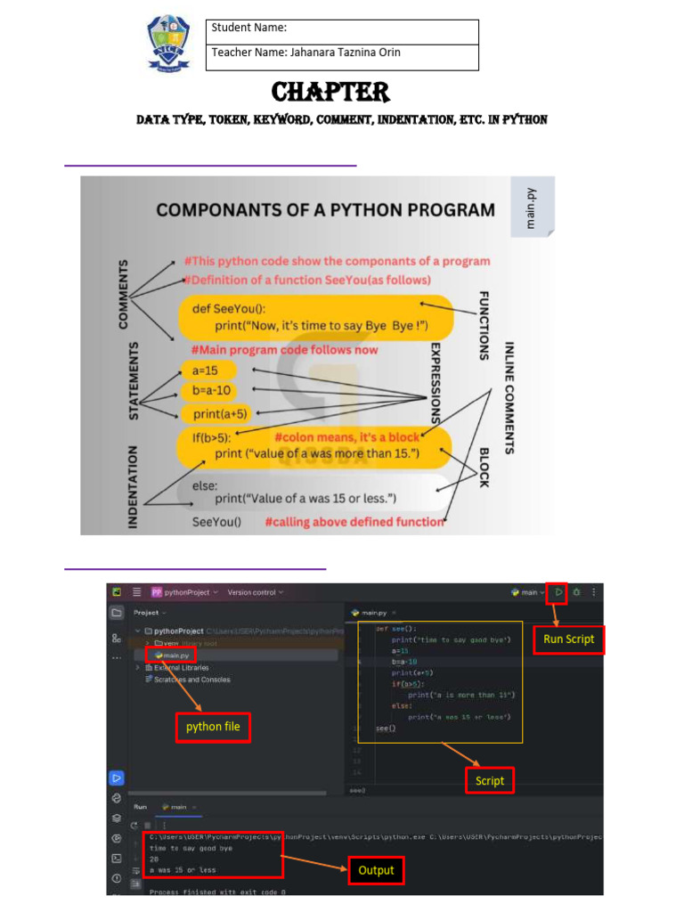Python Programming Basics Explained | PDF