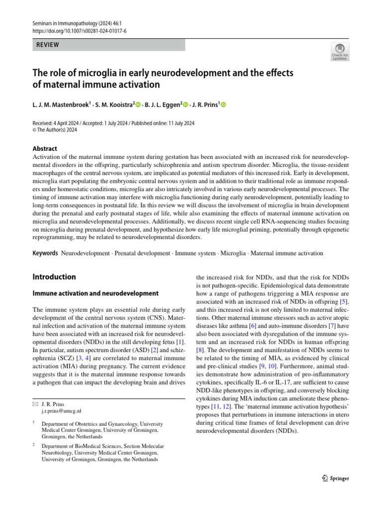 Microglia Neurodesarrollo | PDF | Microglia | Synapse