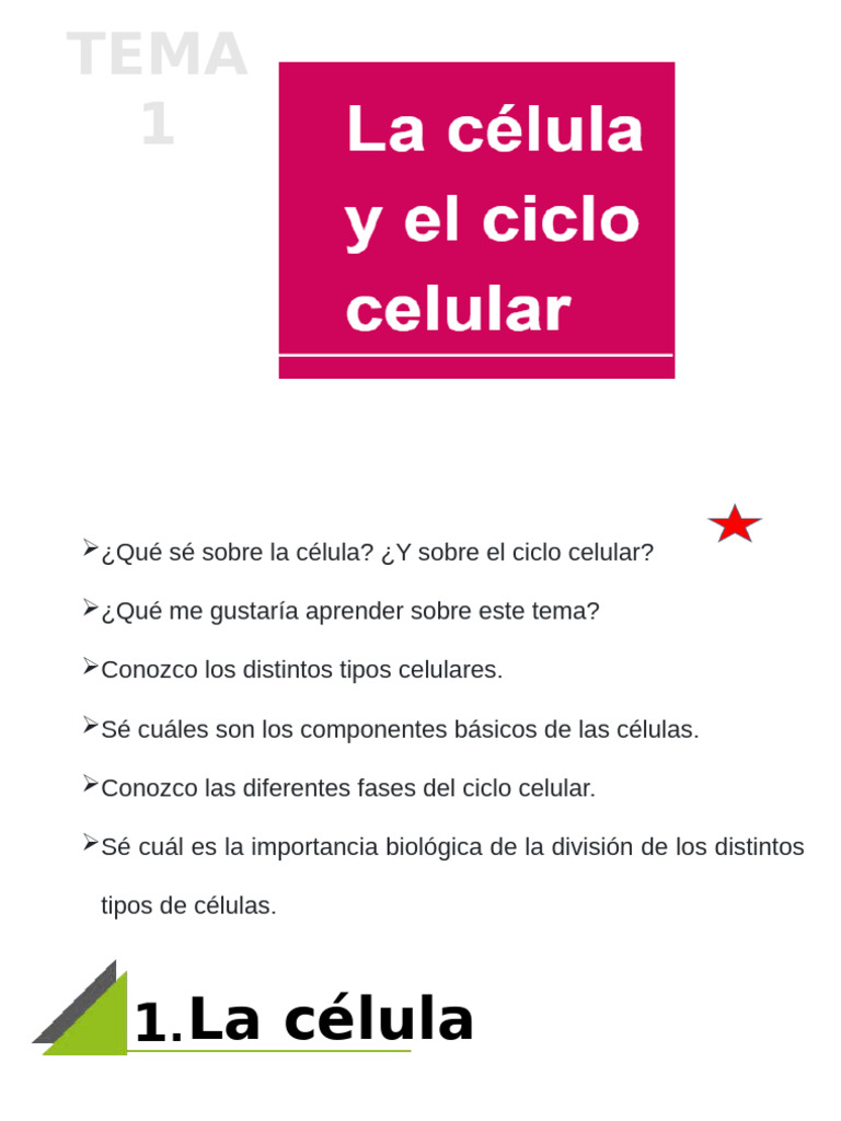 Tipos y Estructura de Células | PDF | Biología Celular) | Eucariotas