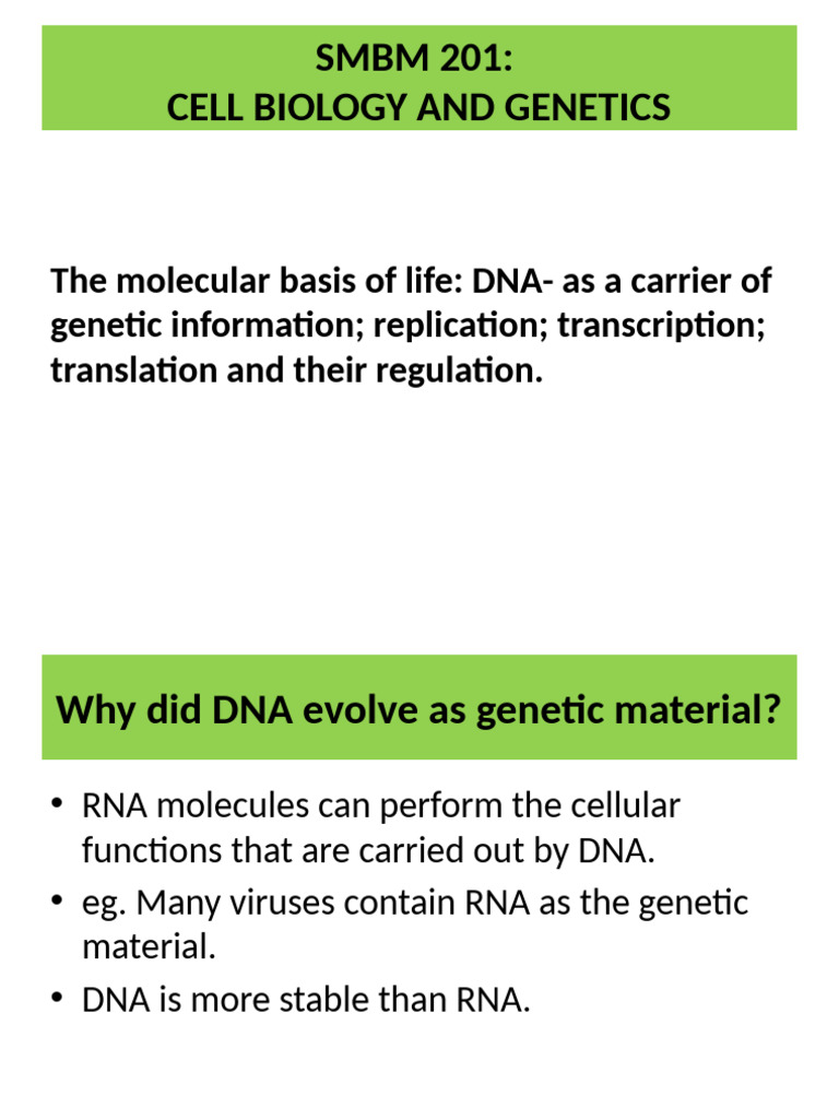 1.nucleotide and DNA Replication | PDF | Dna Replication | Primer (Molecular Biology)